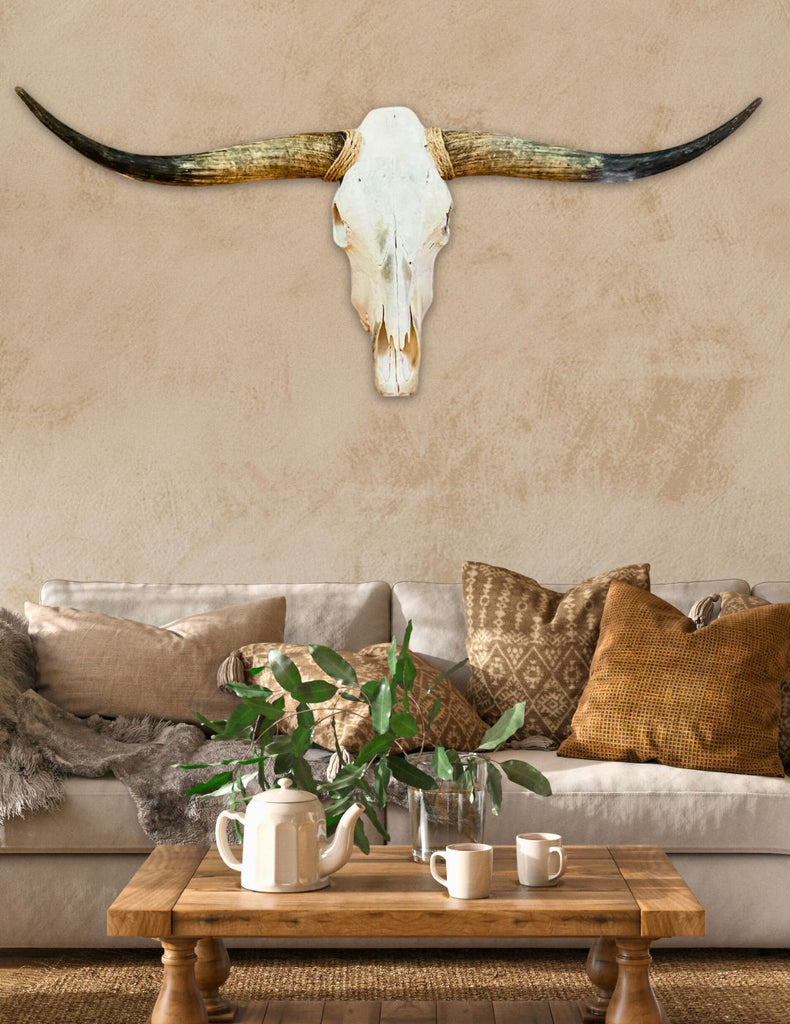 Genuine Plain Skulls with Long Horns — El Paso Saddleblanket