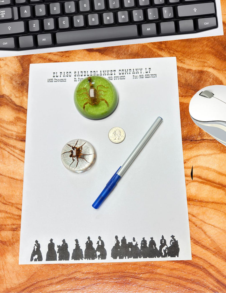 Small Half Dome Spider Paperweight — El Paso Saddleblanket