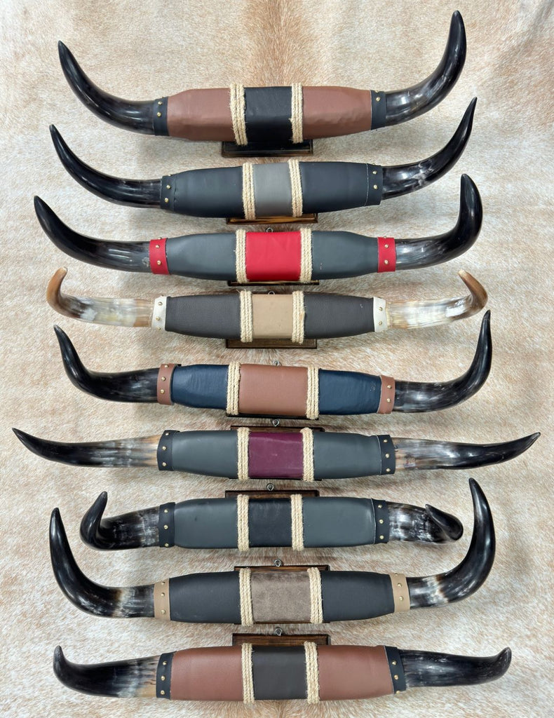 Medium Polished Mounted Horns — El Paso Saddleblanket